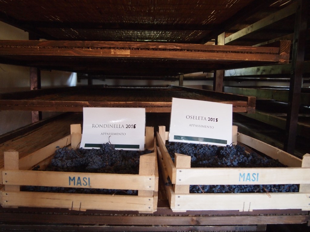 Italian road trip 2016: exploring Dante Alighieri’s legacy | Spinelli's ...